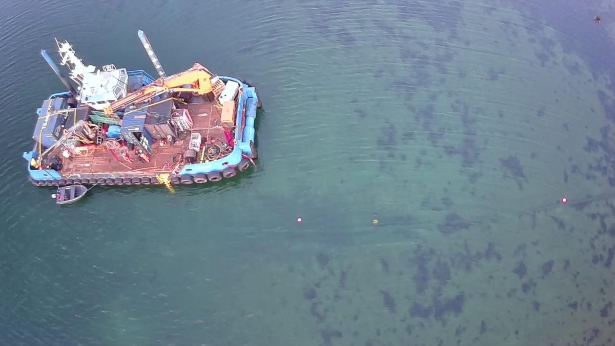 Offshore Cable Removal & VBR Replacement | Wind Farm